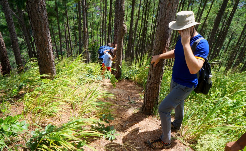 Hike to the Top of Mount Tabor - QUAD TT