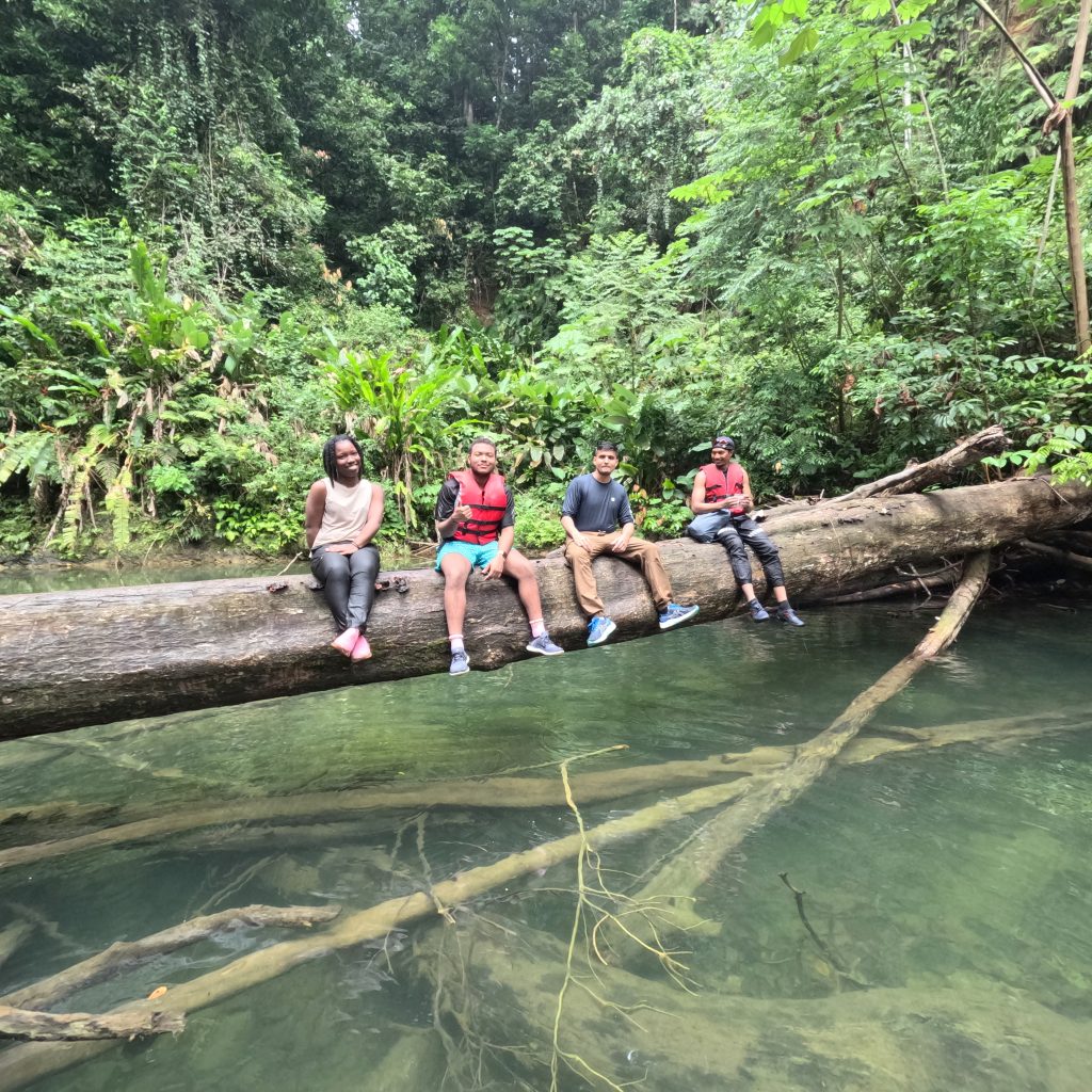 Mermaid Pool and Matura River Circuit - QUAD TT